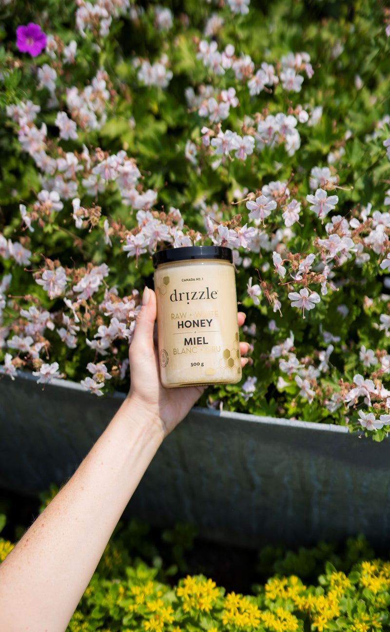 White Raw Canadian Honey | Drizzle Honey